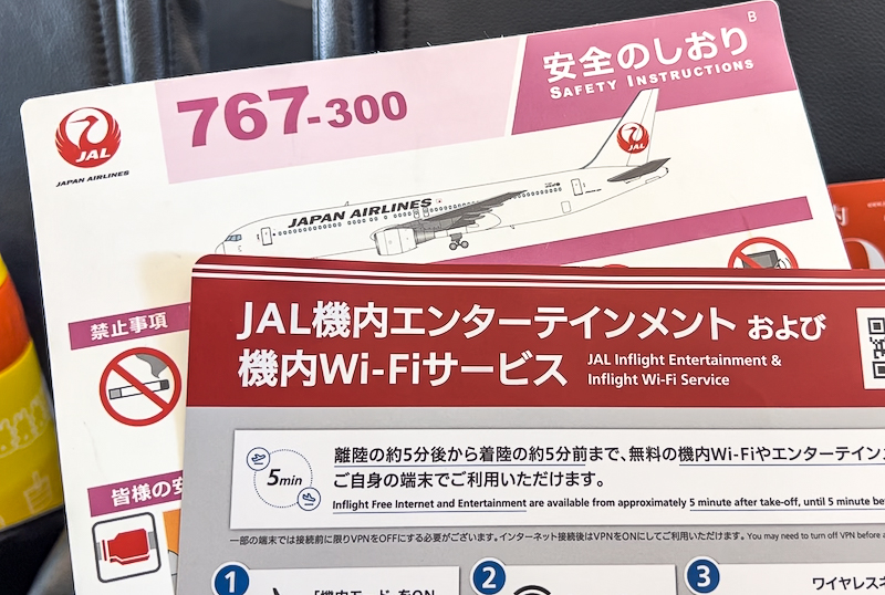 JAL Domestic Flight with Kids Review: Why We Chose It Over the ...